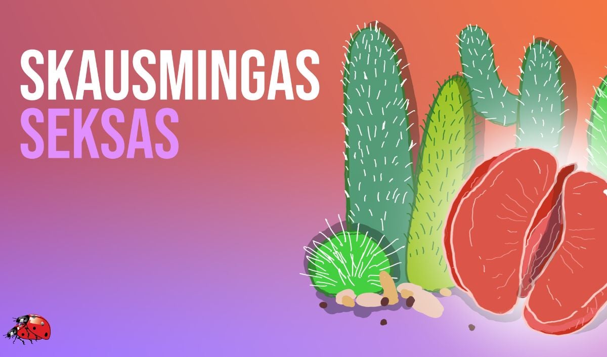 Kodėl skauda, kai mylimės? Gydytojos atsako - Fantazijos.lt